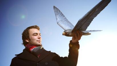 Robird este un şoim robot care va alunga păsările de pe aeroporturi [VIDEO]